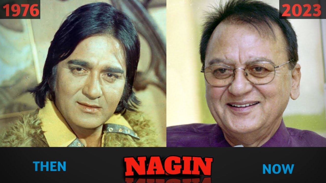 Nagin 1976 Star Cast Then And Now 2023 || How They Changed || Chaos ...