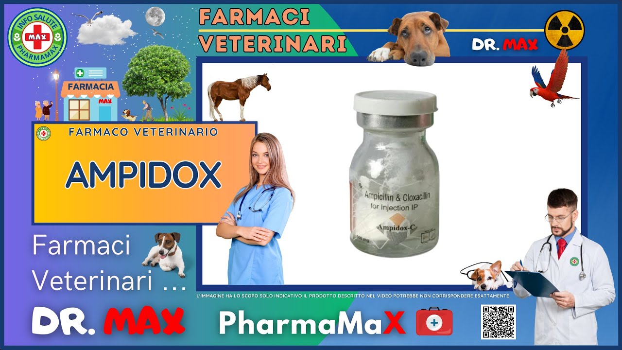 🐶 AMPIDOX Farmaco Veterinario a cosa serve ? - Foglietto Illustrativo ...