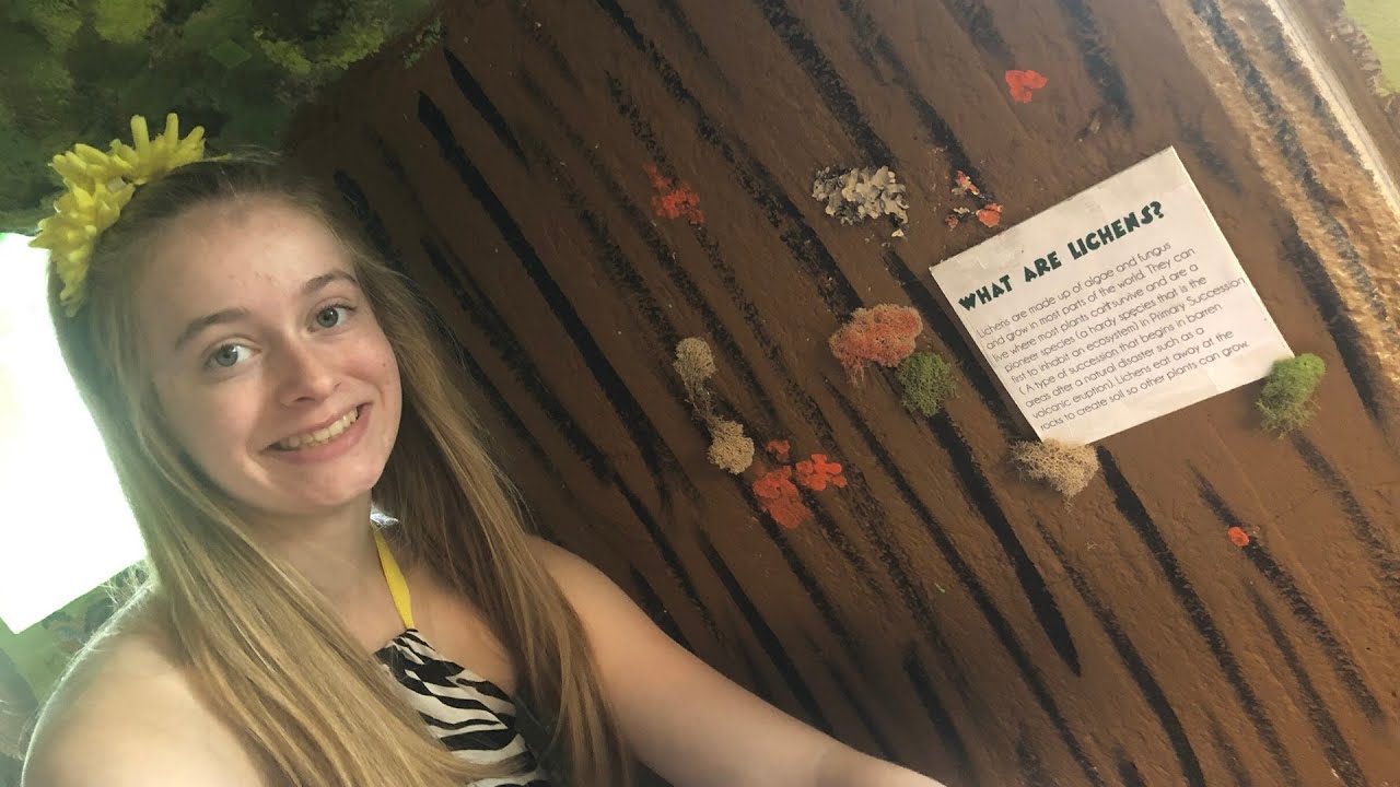 Lydia England - Spark! Environmental Animal Awareness Mural Girl Scout ...