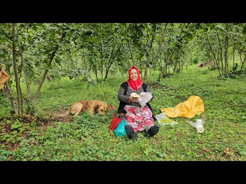 ÇATKAPI GELDİ ZAMANI ! FIRTINA BU LEZZETE BAYILDI🥰🐕
