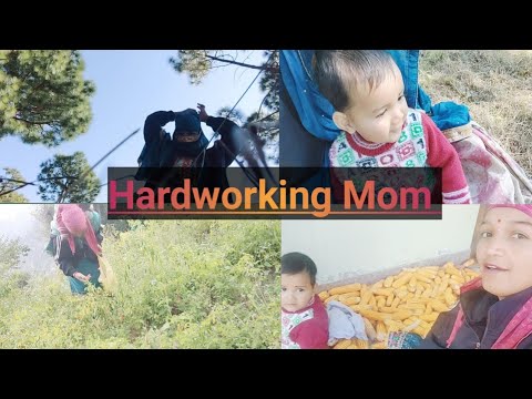 Indian🇮🇳 Working Mom Vlog 😘||Very Hardworking divyathakurspecial 😘|| # ...