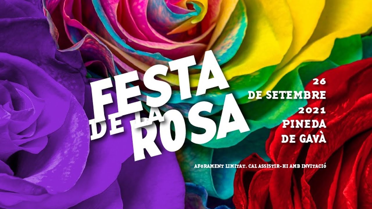 Fiesta de la Rosa PSC 2021 - YouTube