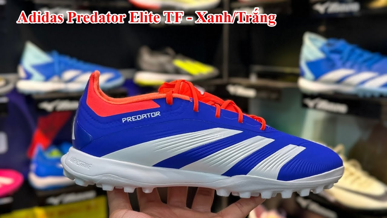 Adidas Predator Elite TF - Xanh/Trắng - IF6372 [Mở Hộp & Lên Chân] # ...