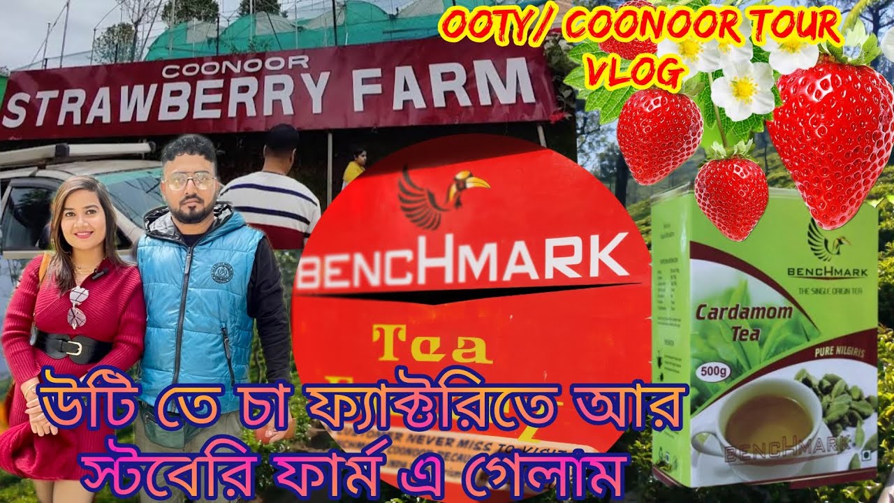 Ooty Tour Vlog Part -5। Coonoor Strawberry Farm । BenchMark Tea Factory ...
