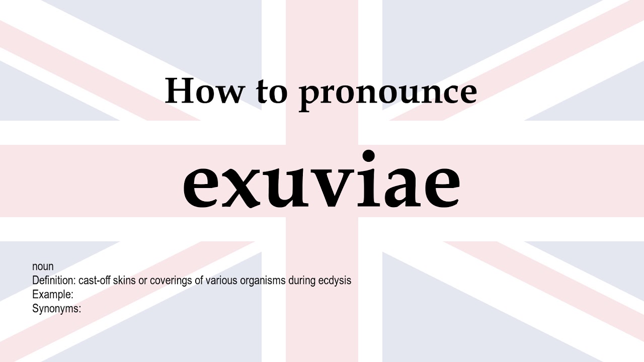How to pronounce 'exuviae' + meaning - YouTube