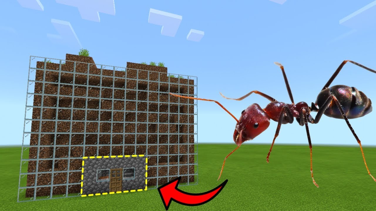 How To LIVE INSIDE a RED ANT FARM in Minecraft PE - YouTube
