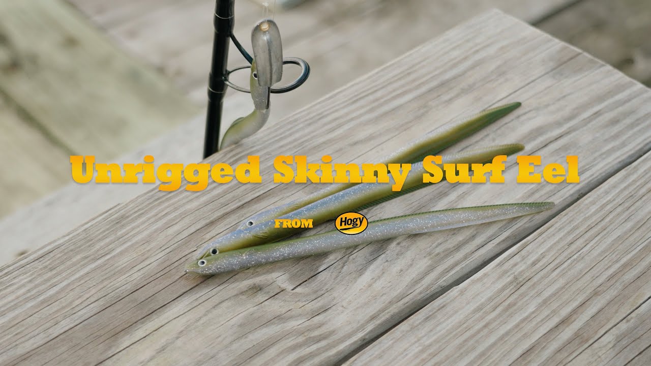 Hogy Premium Swimming Tin with Soft Plastic Eel: A High-Performance Eel ...
