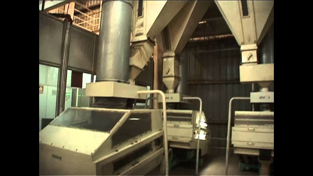 CHARBHUJA PEANUT FACTORY IN INDIA - YouTube