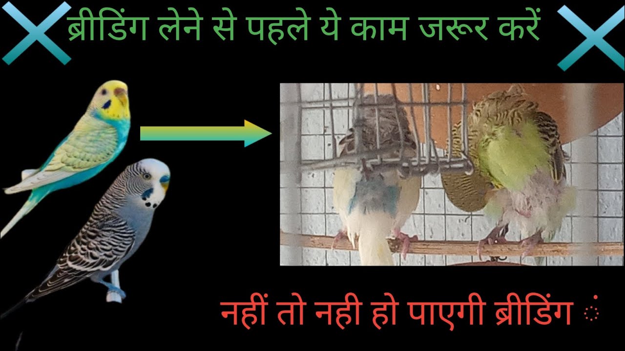 Matki lagane se pahle kya kare..what to do before hanging matki - YouTube