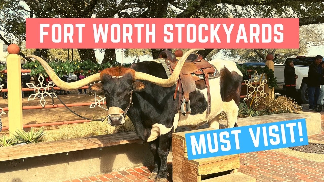 Exploring DFW: Fort Worth Stockyards (Texas Experience) - YouTube