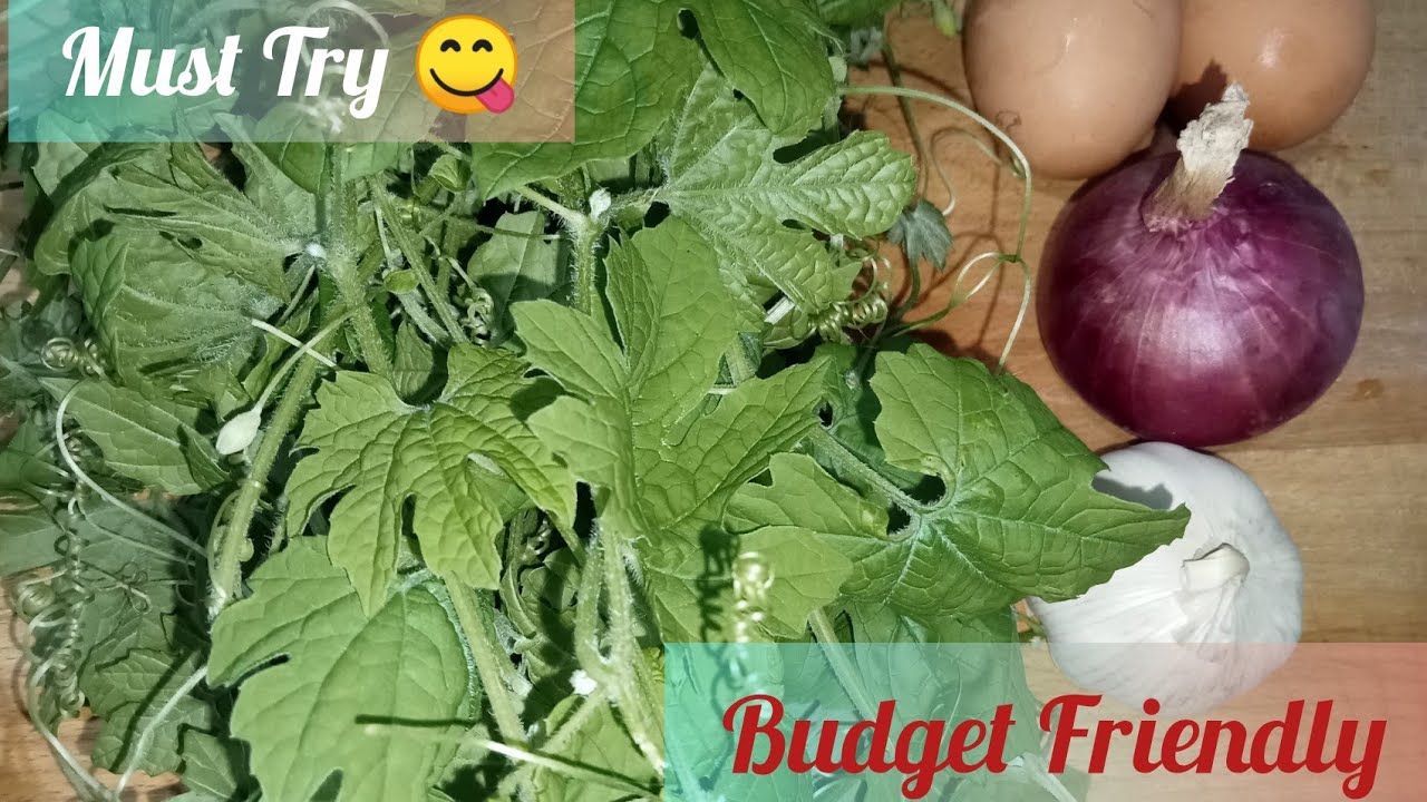 Nasubukan Mo Na Ba Ito Sa Dahon Ng Ampalaya Mo? II Budget and Simple ...