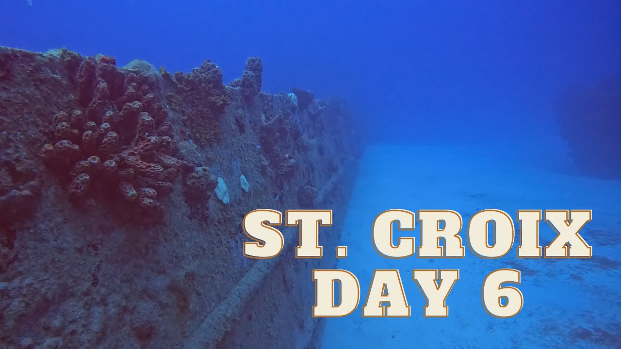 Wreck Diving With Sharks in St. Croix - YouTube