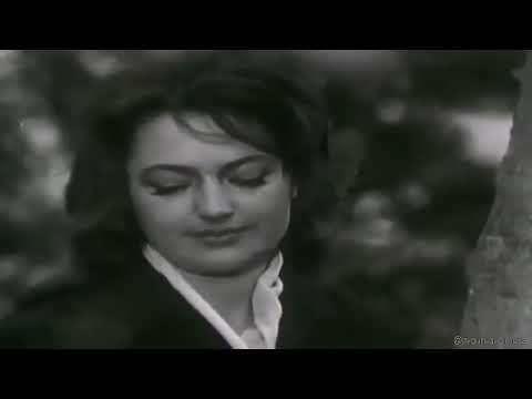 Jay Meel - Viranə (lyrics)