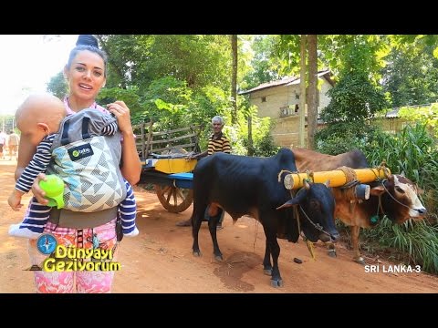 DÜNYAYI GEZİYORUM - SRİ LANKA/3 (HD) - 15 ŞUBAT 2015