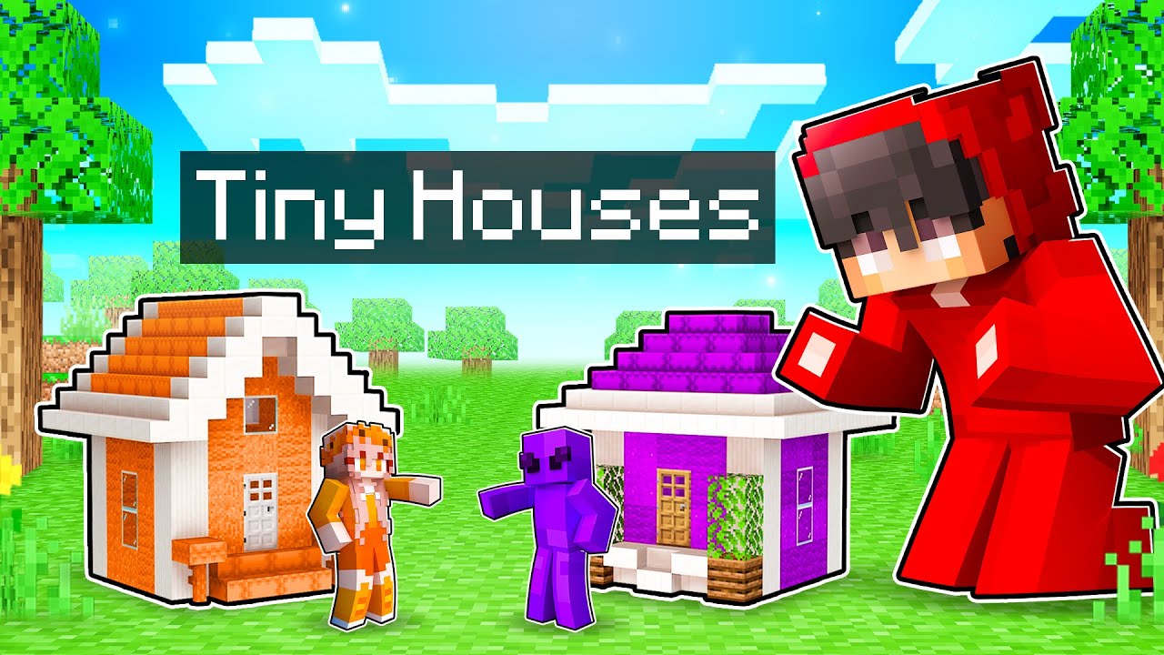 Mia vs Luke TINY House Battle in Minecraft! - YouTube