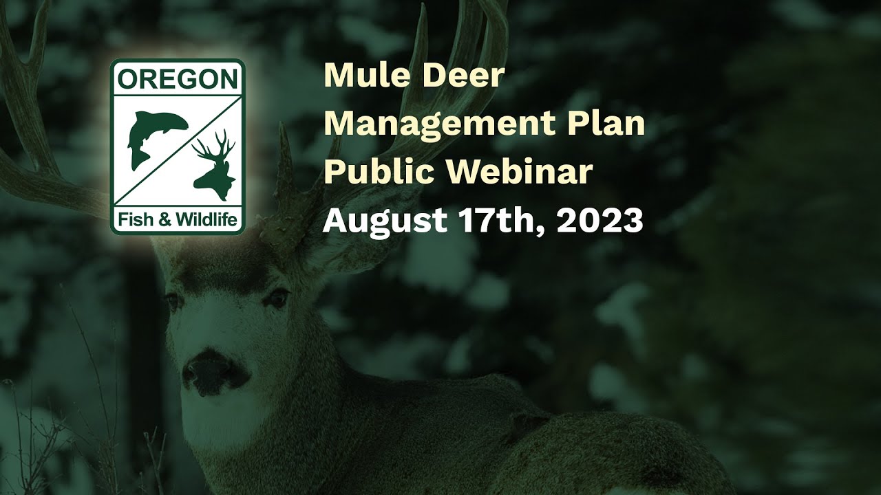 Mule Deer Management Plan Update 2023 - YouTube