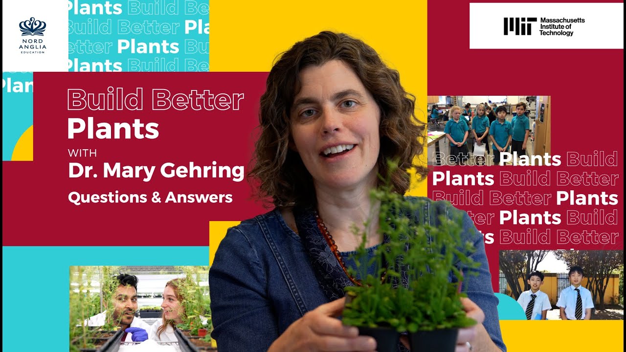 Build Better Plants Questions and Answers ft. Dr. Mary Gehring | Build ...