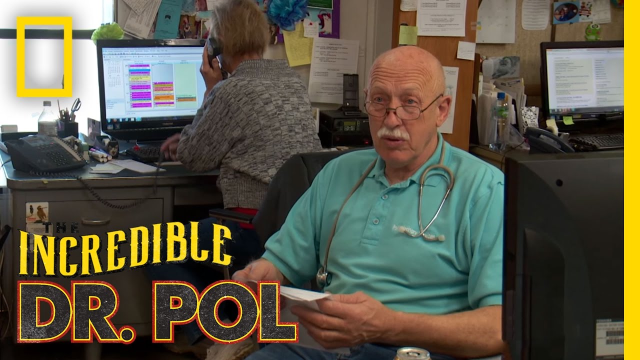 Polments: Fans Old and New | The Incredible Dr. Pol - YouTube
