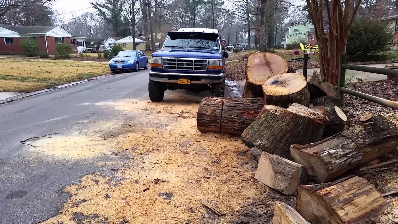 Urban Logging - YouTube