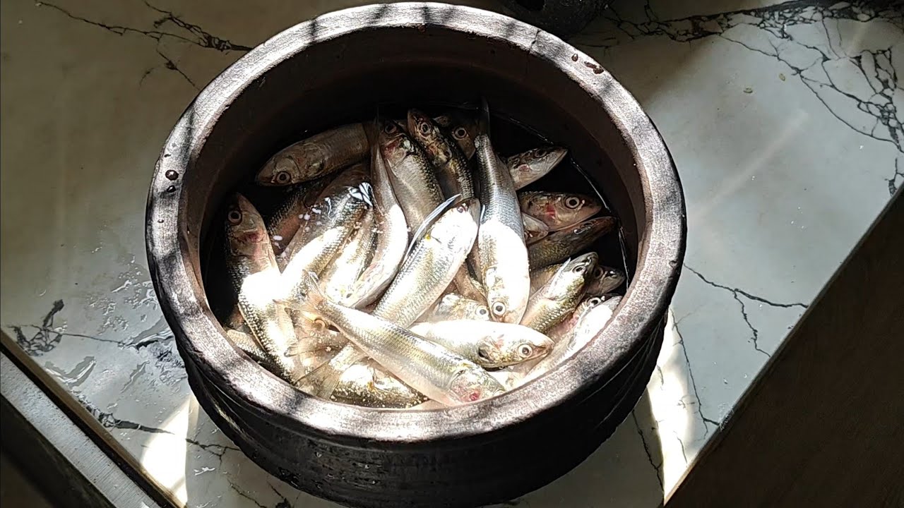 Nadan mathi curry | നാടൻ മത്തി കറി - YouTube