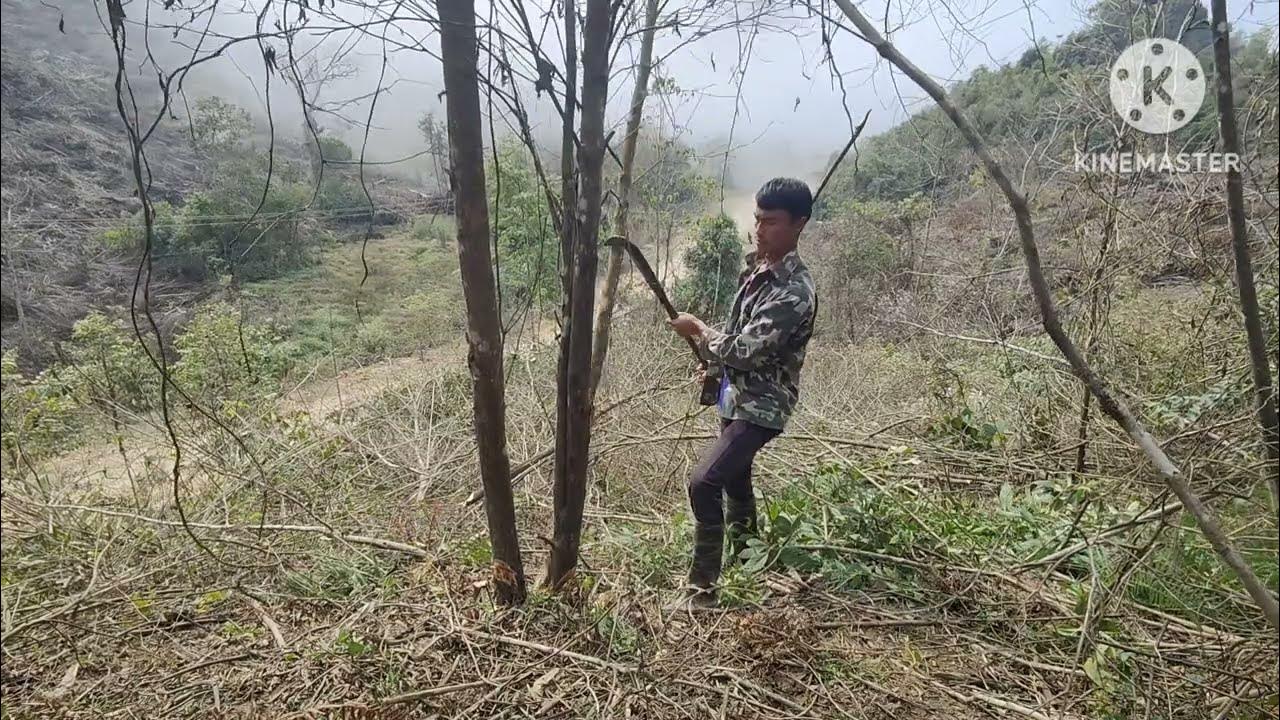 hnub no mu luaj teb cog khoom noj khoom haus od 9/2/2024 - YouTube