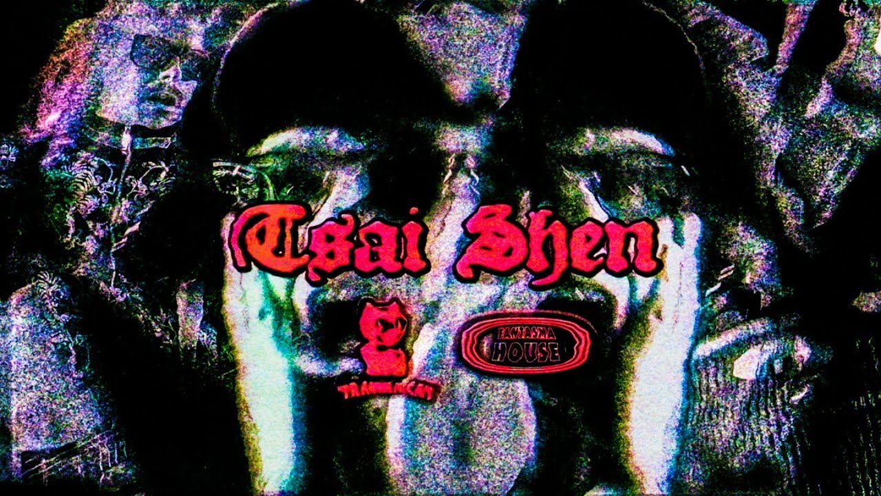 Trauma Cat ⁠— Tsai Shen (Official Music Video) - YouTube