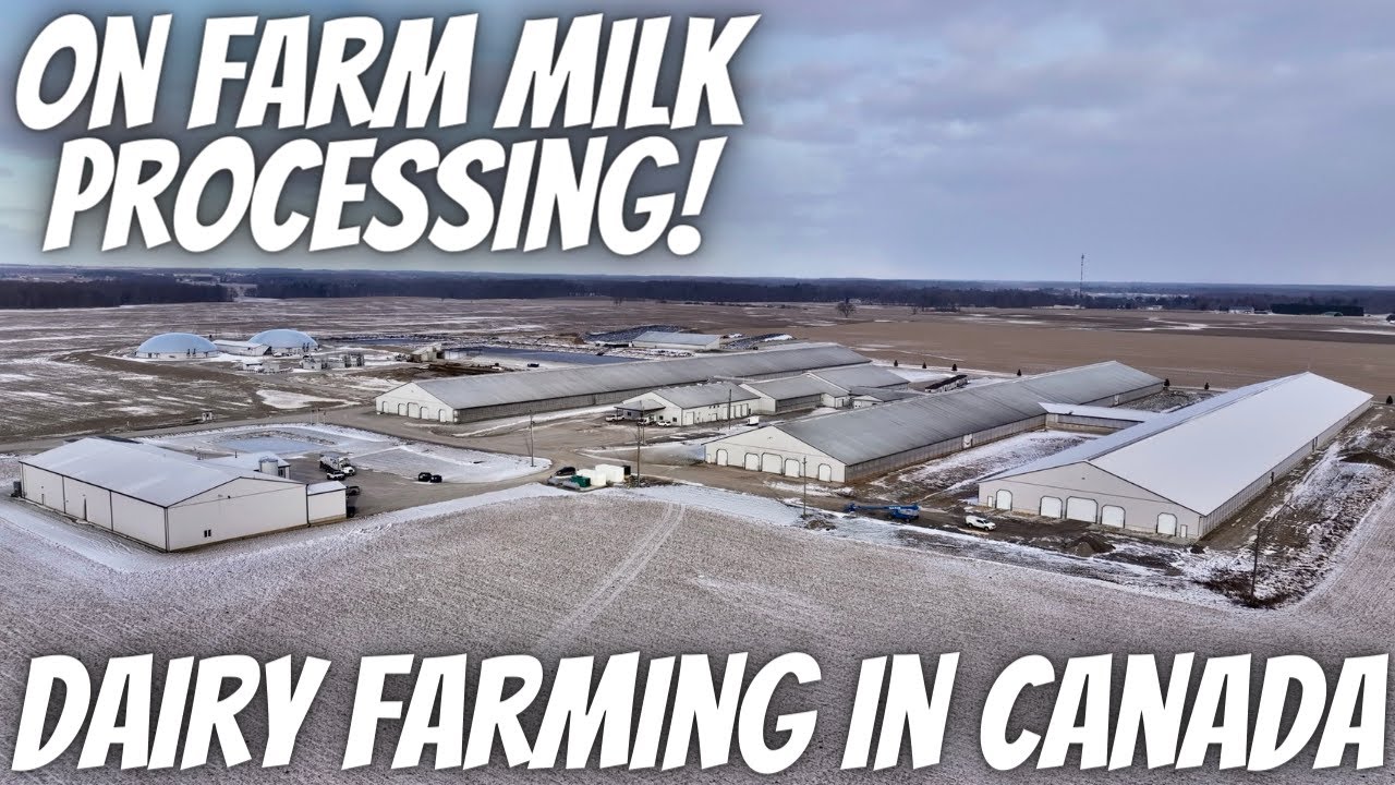 Walker Farms Tour! 1700 cows, Bio Digester, Milk Processing Plant ...