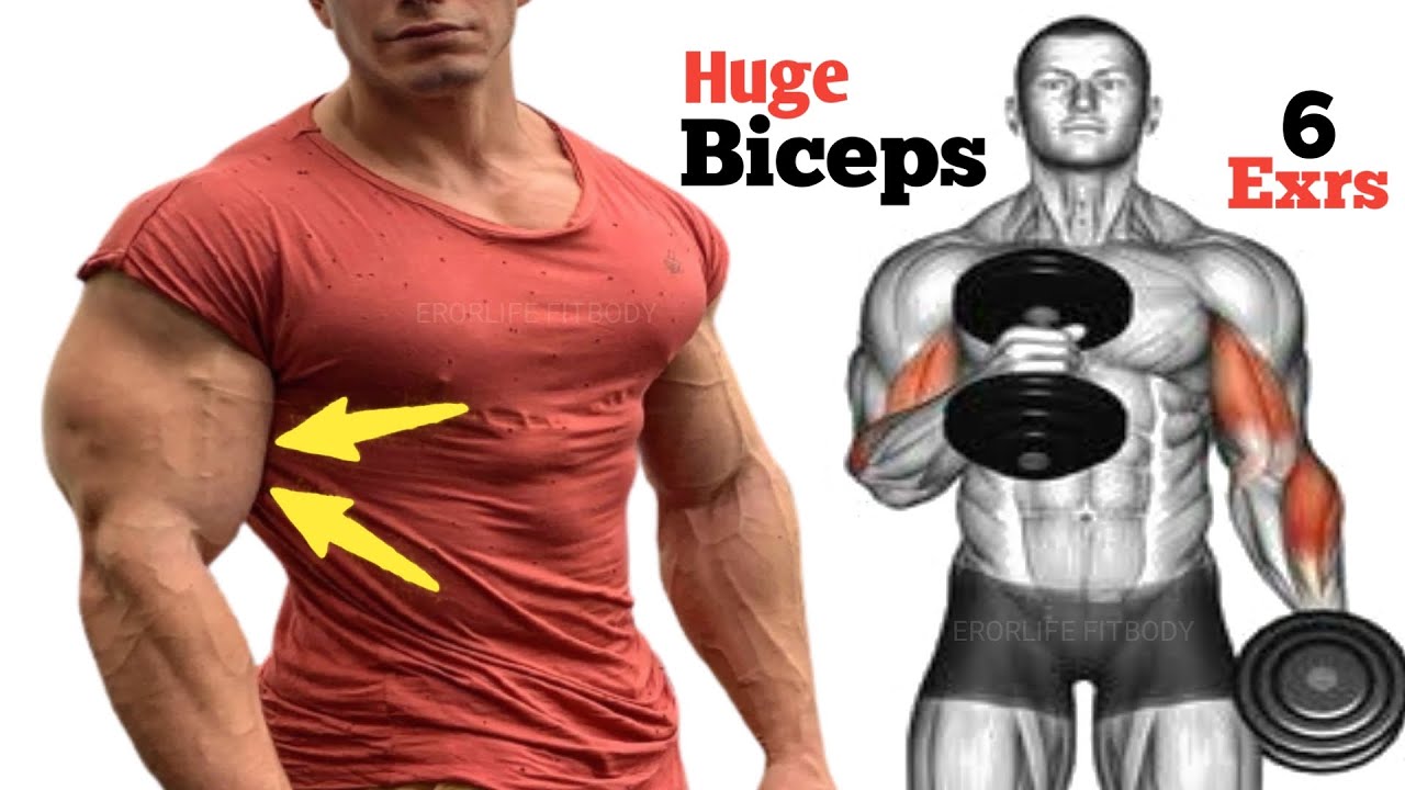 Build Your Arms Massive - 6 Most Effective Exercise | ERORLIFE FITBODY ...