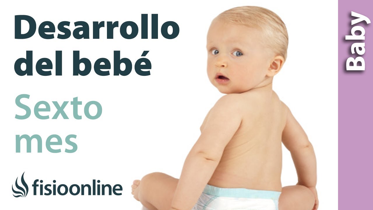 👶🏼Desarrollo del BEBÉ en su SEXTO mes de VIDA🚼 - YouTube