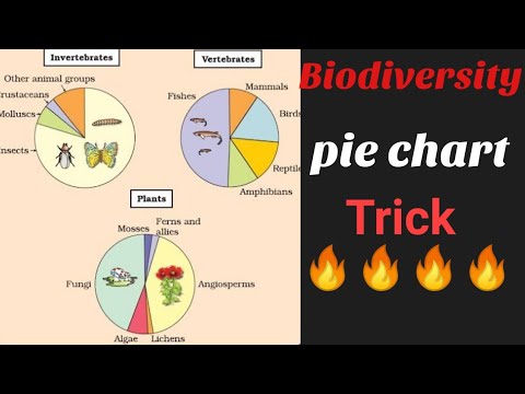 NEET BIOLOGY BIODIVERSITY PIE CHART MNEMONIC By Gopika sasidharan - YouTube