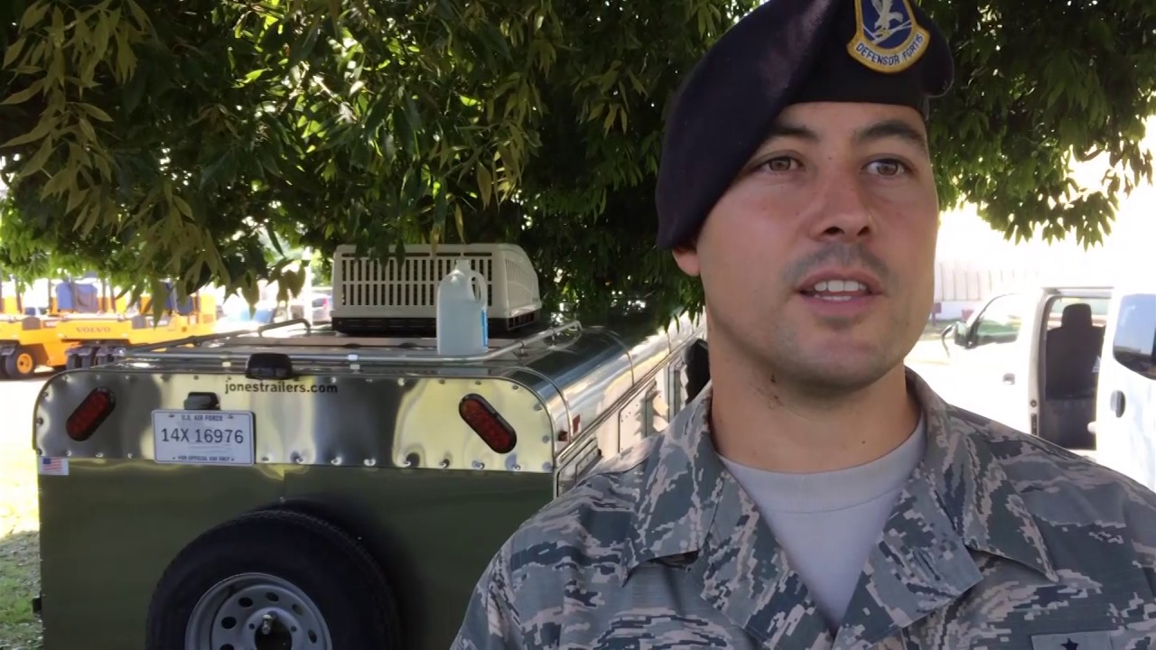 Military working dogs face off at Yokota Air Base, Japan - YouTube