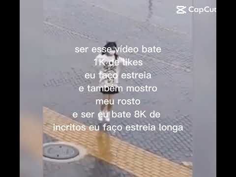 para vcs