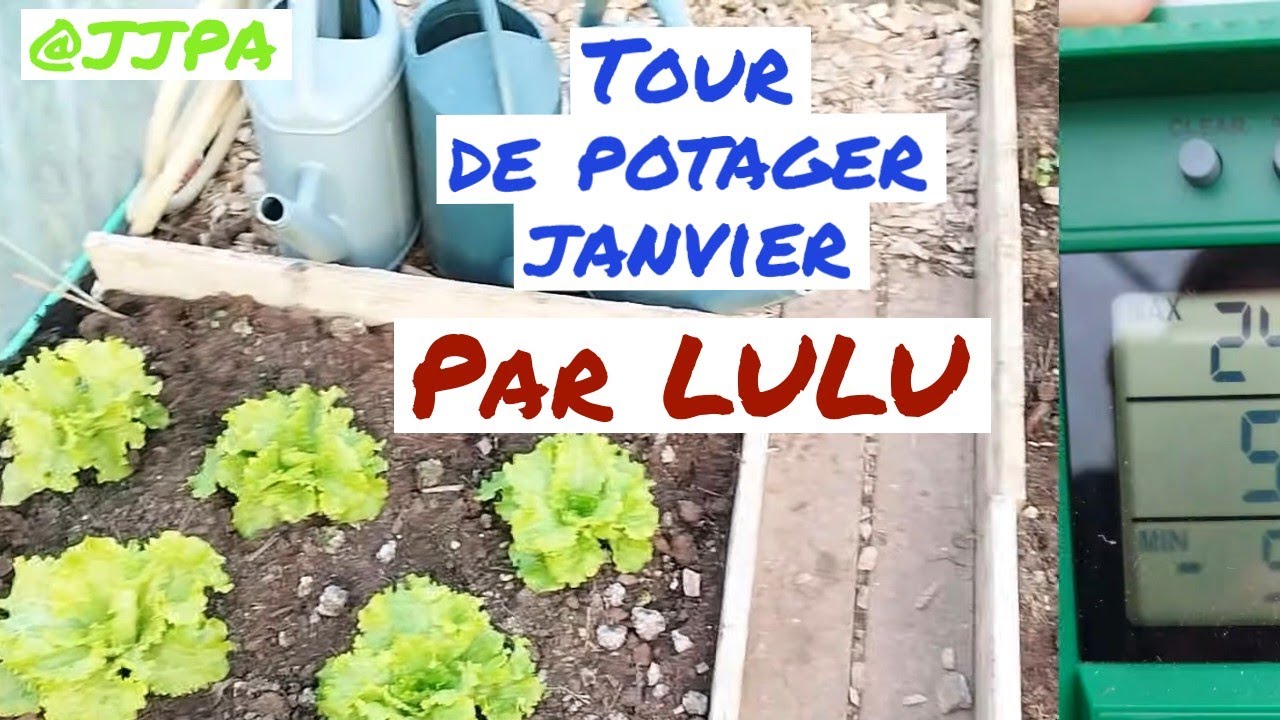 Tour du potager en Janvier par Lulu 🥰🥰 - YouTube
