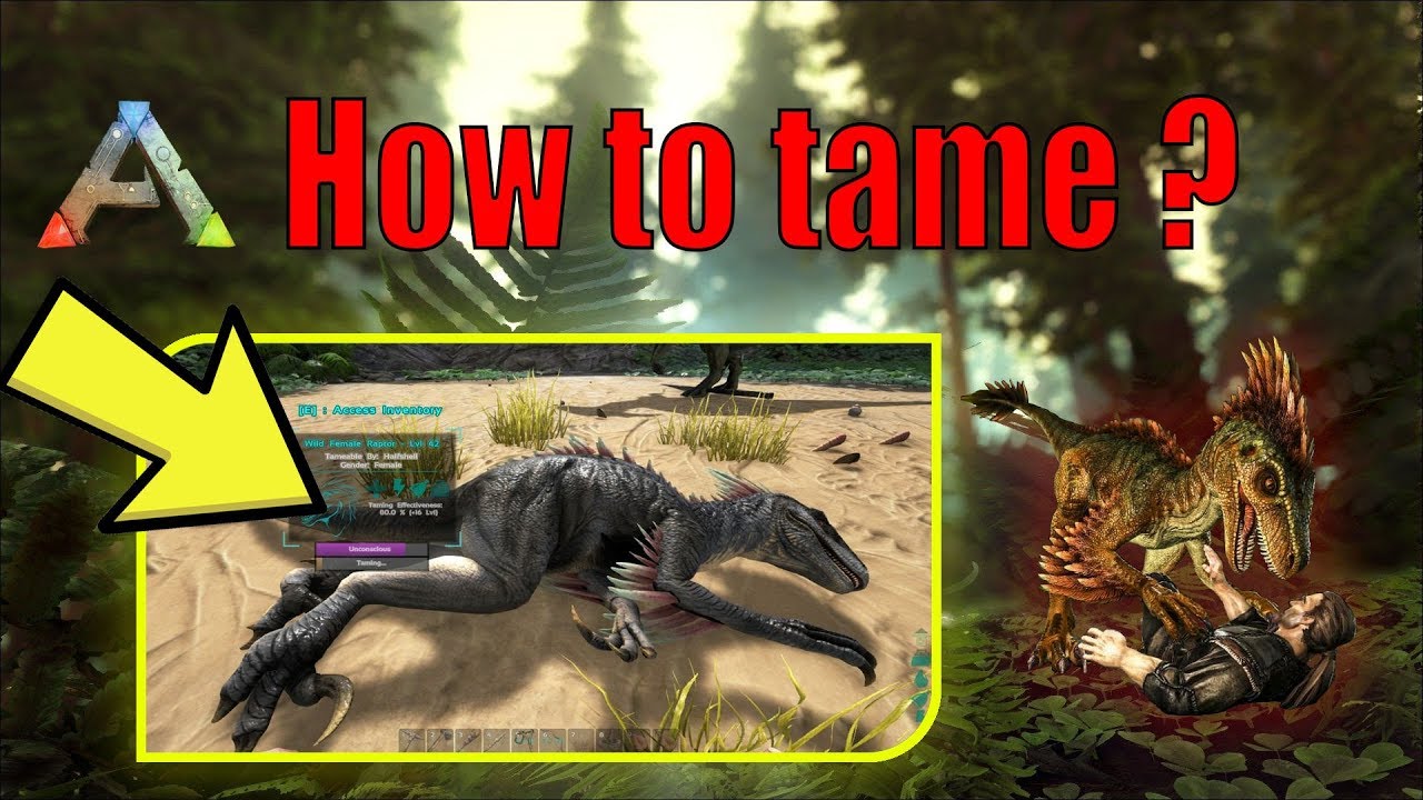 Ark: Survival Evolved How to tame a dino - YouTube