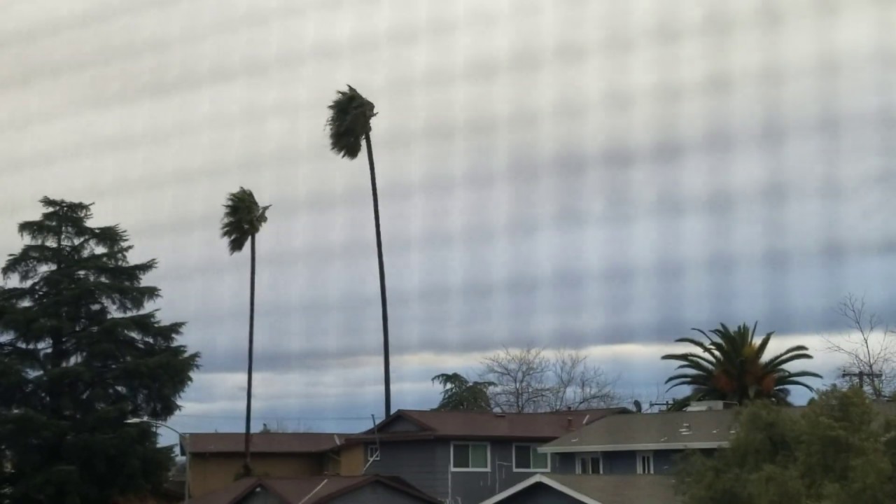 Very Gusty Windy SE Winds and Mistly Cloudy Sacramento 7:22am February ...