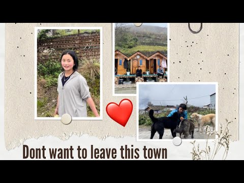 Unique experience of A town like yet Village vibes | Anini | #arunachalpradesh #northeastindia #love