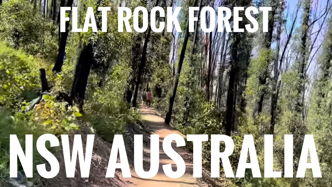 HIKING AT FLAT ROCK FOREST||YADBORO |NSW AUSTRALIA - YouTube