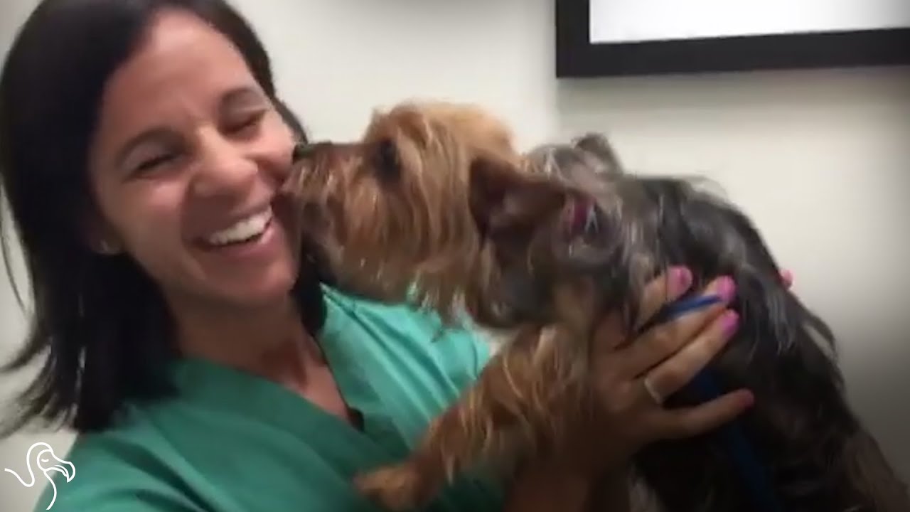 Crying Dog And Rabbit Rescued From Basement - YouTube