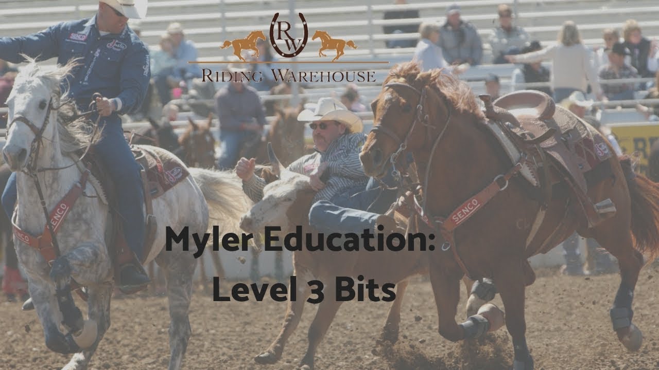 Myler Education: Level 3 Bits - YouTube