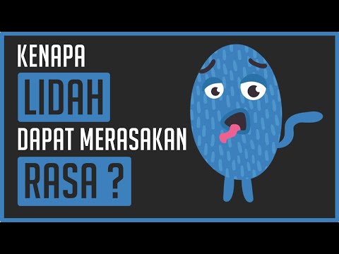 Kenapa Lidah Bisa Merasakan Berbagai Rasa ?