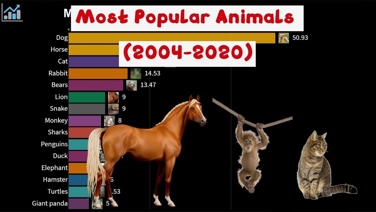 Most Popular Animals from 2004 to 2020 - YouTube