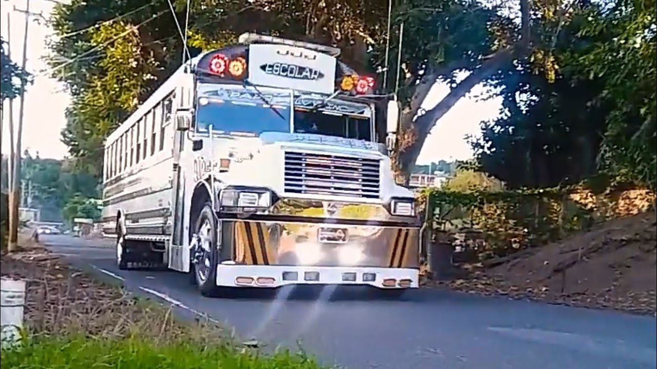 [INTERNATIONAL SCHOOL BUS] LA CASPER👻 - Transporte Papo Alvy, Inc ...