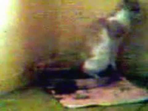 PaMuğUmUn işTE tUvaLEt anı