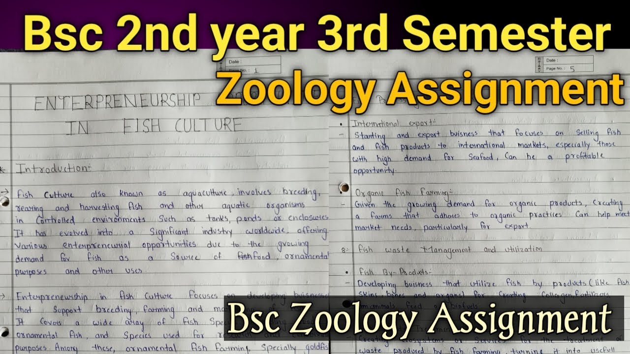 Bsc 3rd Semester Zoology Assignment Assignment Topic Entrepreneurship ...