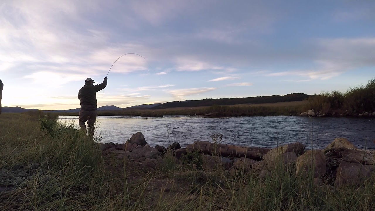 Colorado Kokanee on the Dream Stream - YouTube