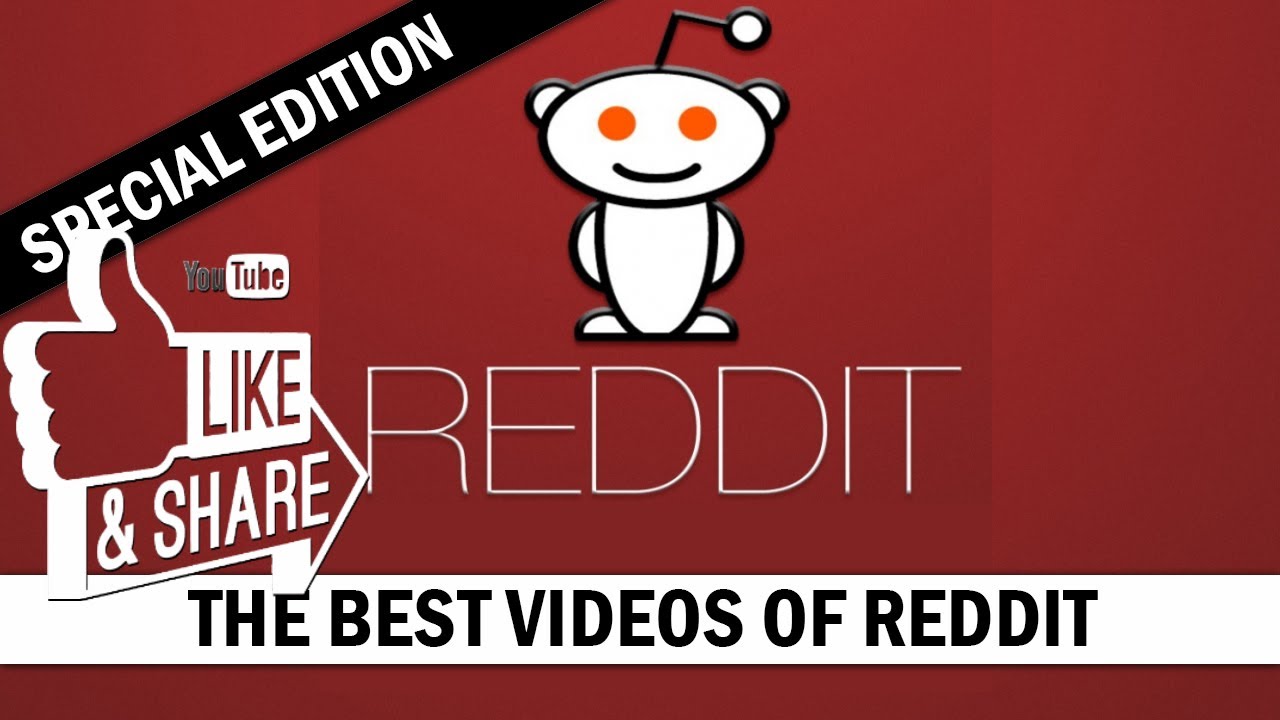 THE BEST VIDEOS OF REDDIT. SPECIAL EDITION - YouTube