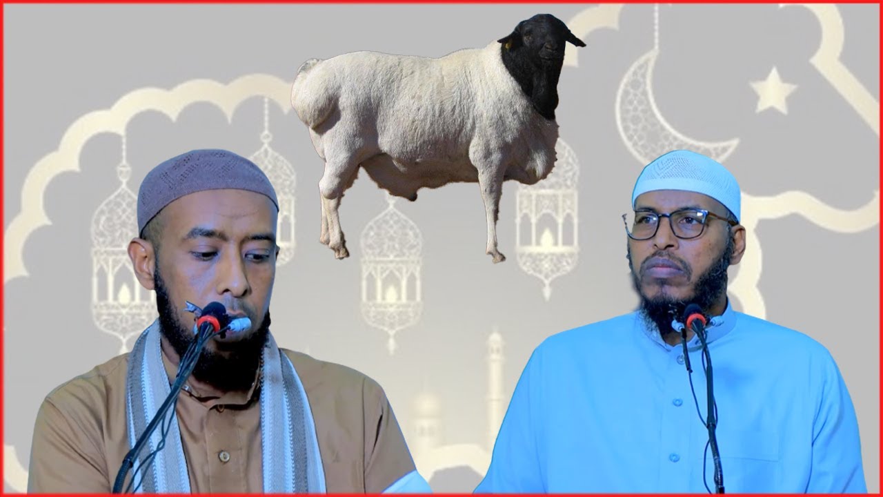 Suaalo IyoJawaabo Ku Saabsan Udxiyada Sh Barbaraawi - YouTube