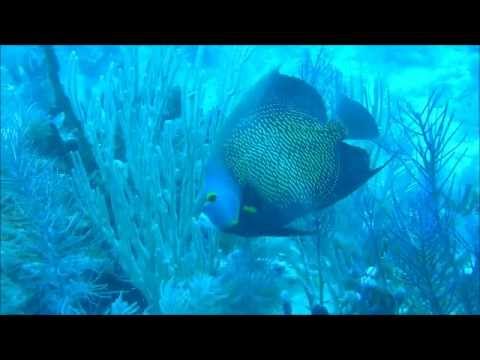 Key Largo Double North Dry Rocks - YouTube