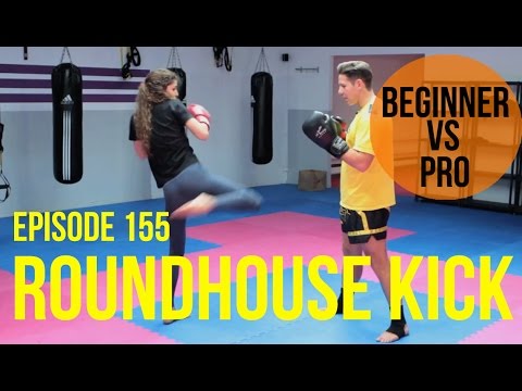 Kickbox Training #155 - Roundhouse Kick / Beginner vs Pro 8 / Kickboxen ...