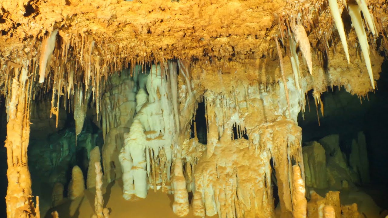 Cave Diving in Yucatán Peninsula, Cozumel Mexico. GH5 underwater 4k UHD ...
